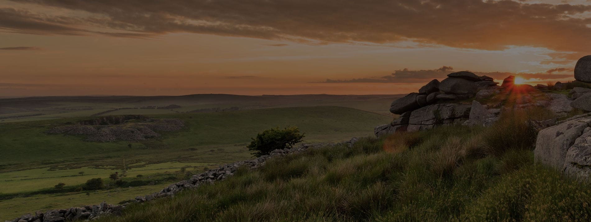 Moor Coffee – Supplying Premium Coffee Products